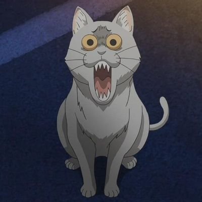 Is Kuso Cat the most epic cat in anime? - Forums - MyAnimeList.net
