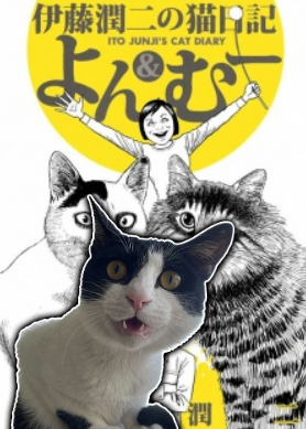 What are your favorite catified manga covers that you've seen? - Forums ...