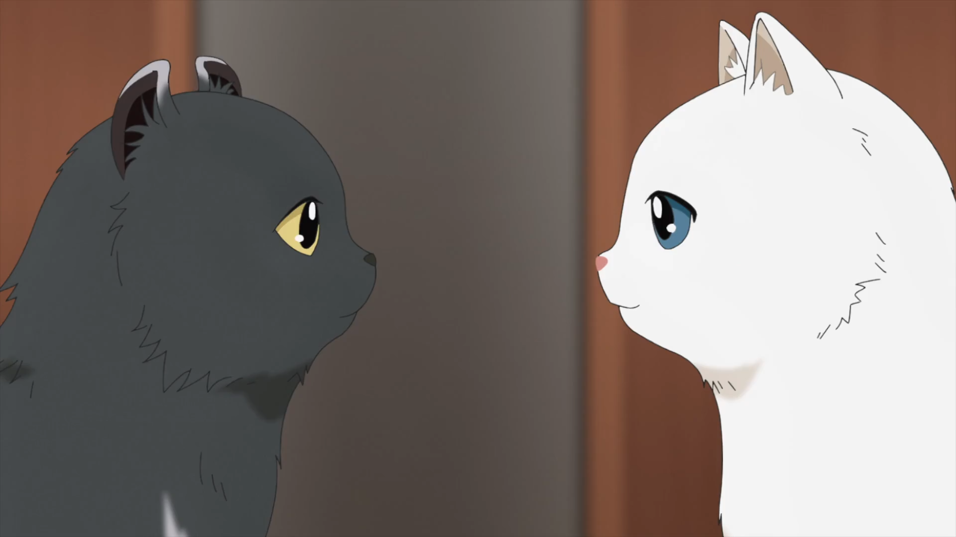 Post A Random Picture (No Gifs) v3 (4850 - ) - Forums - MyAnimeList.net