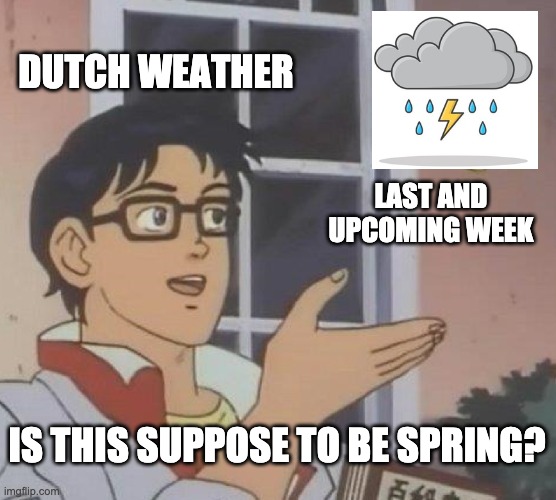 [Intro-Meme] Pigeon Boy Hall! Meme-seum! - Forums - MyAnimeList.net