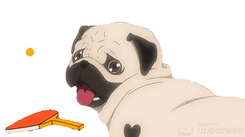 Post random GIFs - Forums - MyAnimeList.net