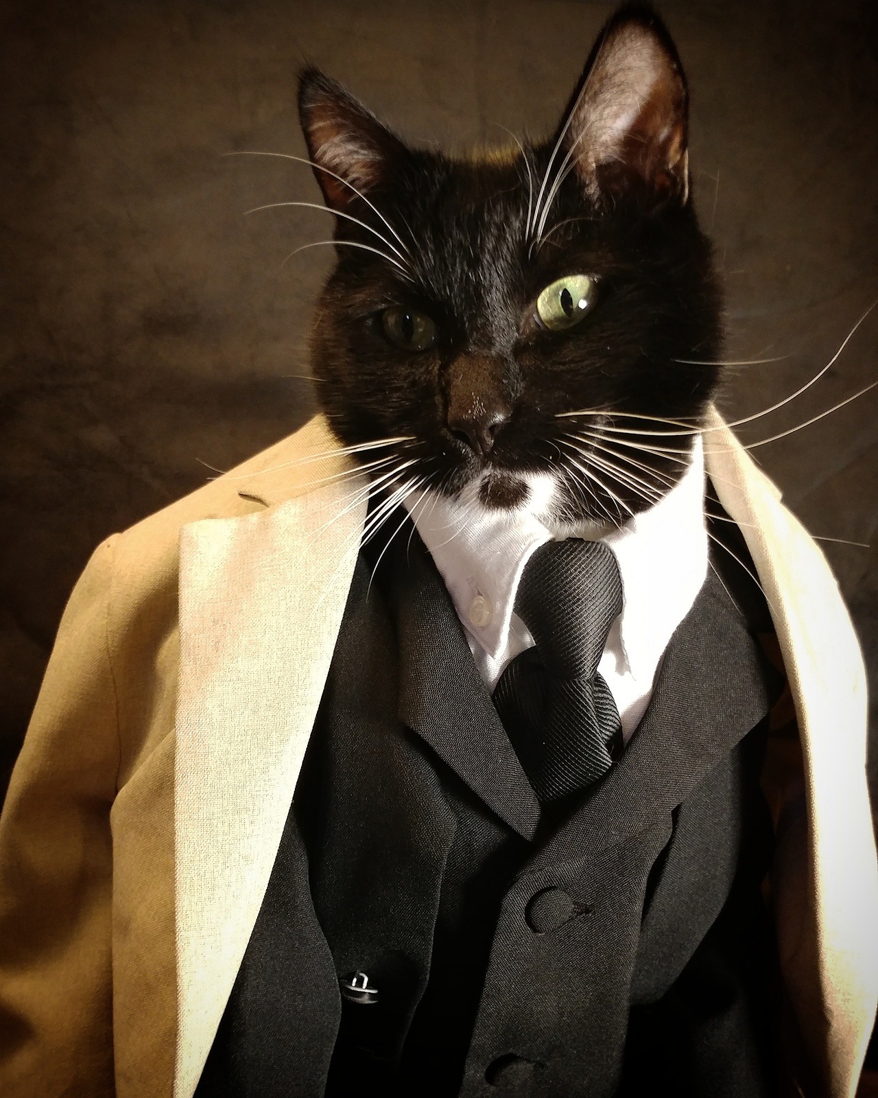 Zedlin's Profile - MyAnimeList.net