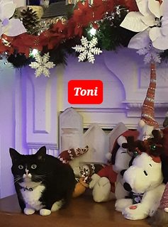 Kat's Korner - Club - MyAnimeList.net