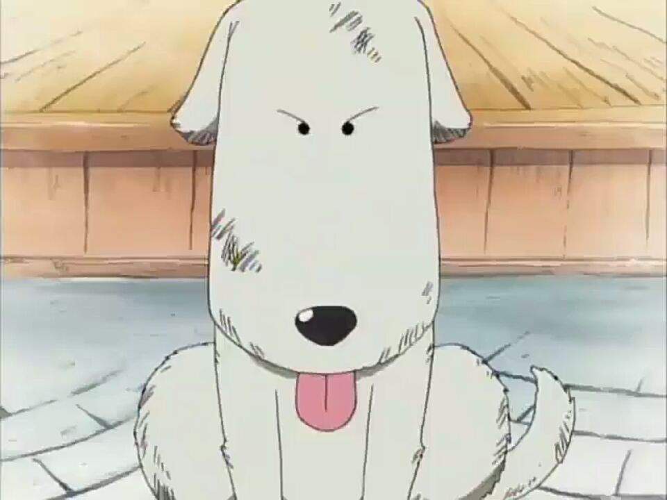 Favorite anime dog? - Forums - MyAnimeList.net