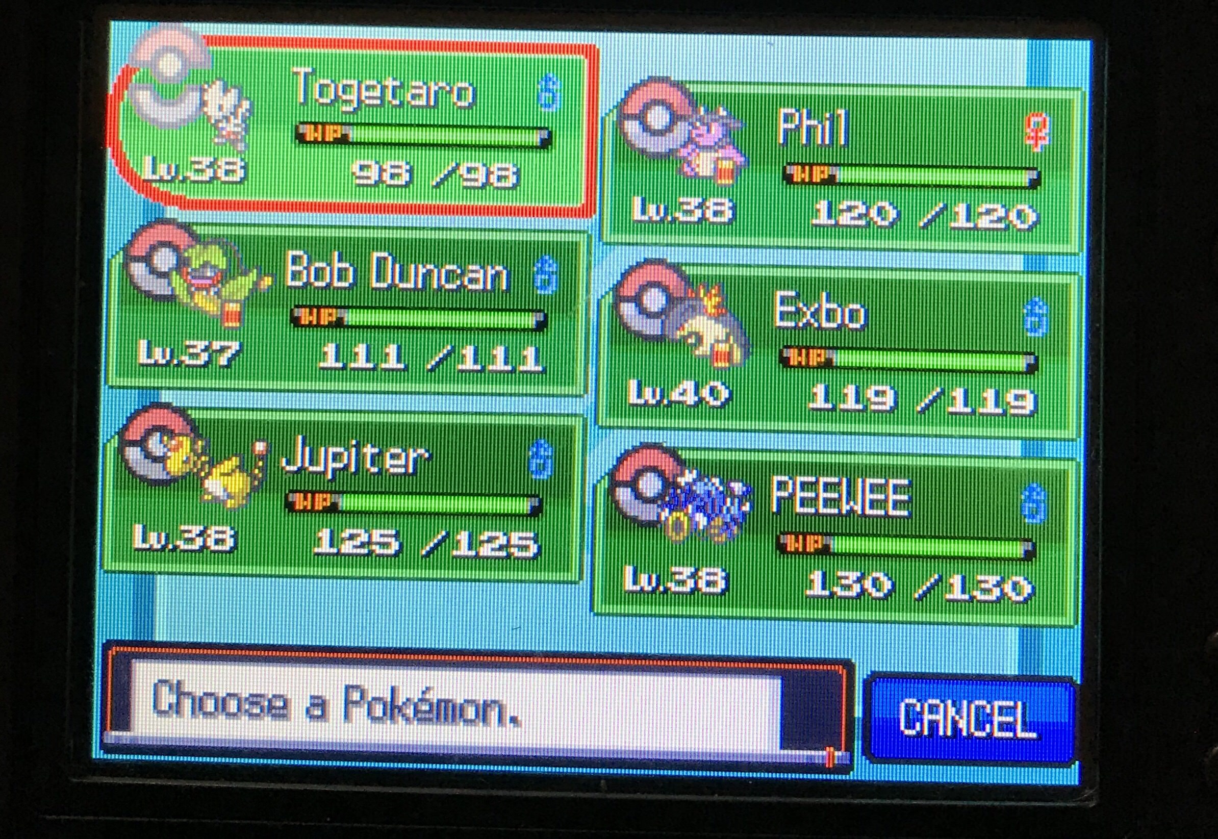 Your current Pokemon runs - Forums - MyAnimeList.net