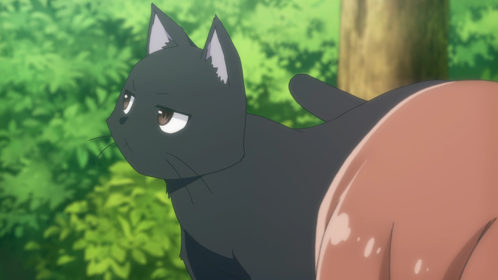 Flying Witch Episode 7 Discussion (100 - ) - Forums - MyAnimeList.net