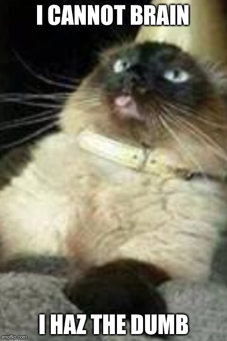 T1mma's Profile - MyAnimeList.net