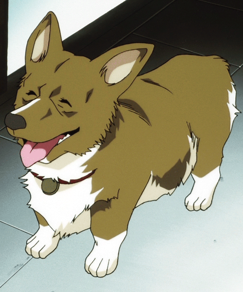 Are there any problems with a certain anime you’d like to discuss/vent ...