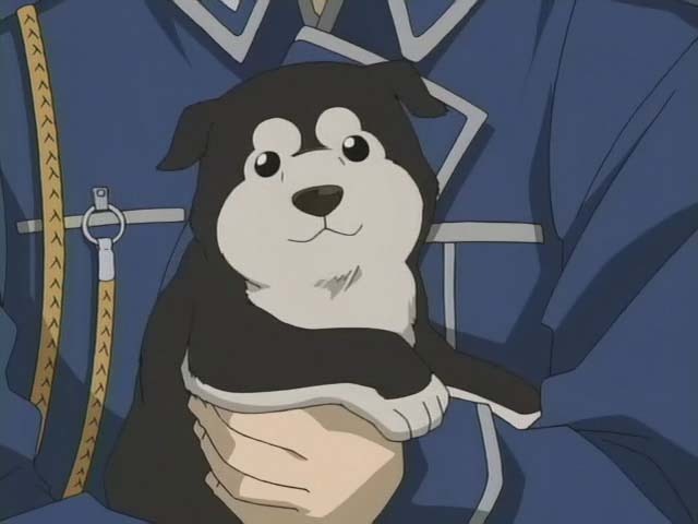 Anime with cute cats,dogs and animals? - Forums - MyAnimeList.net