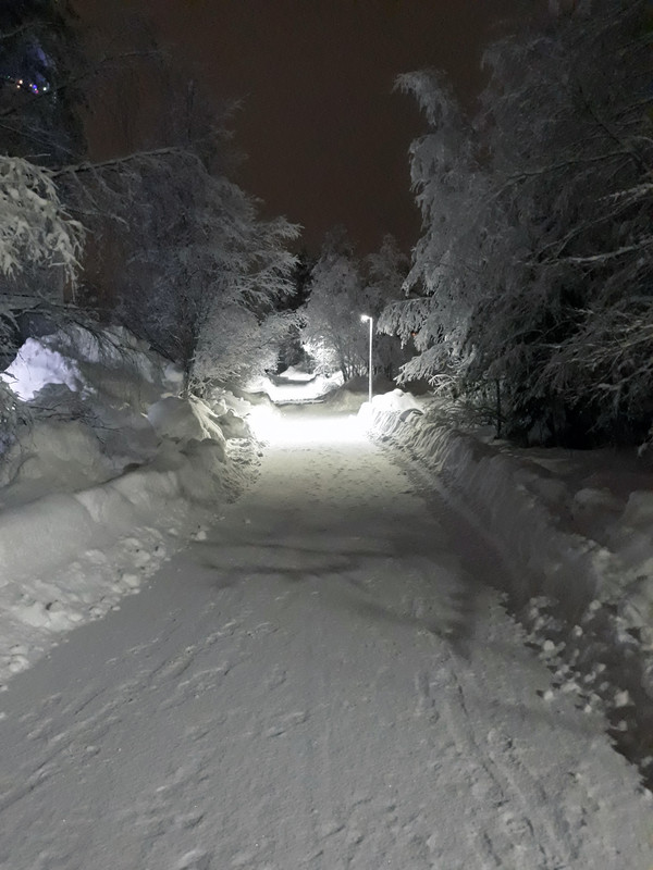 Does your city have snow yet? - Forums - MyAnimeList.net