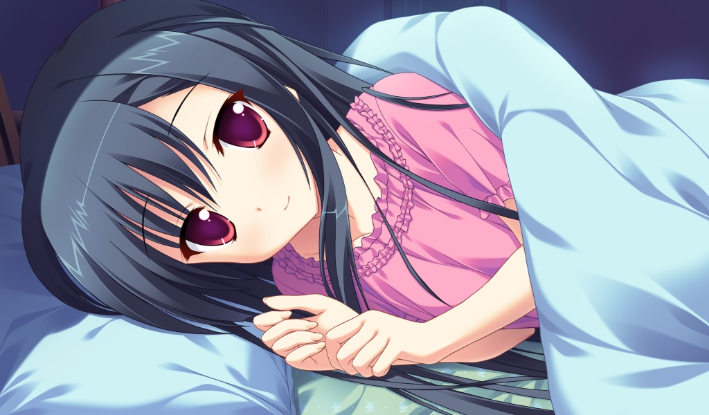 Anyone else here that played the Visual Novel, Princess Evangile ...