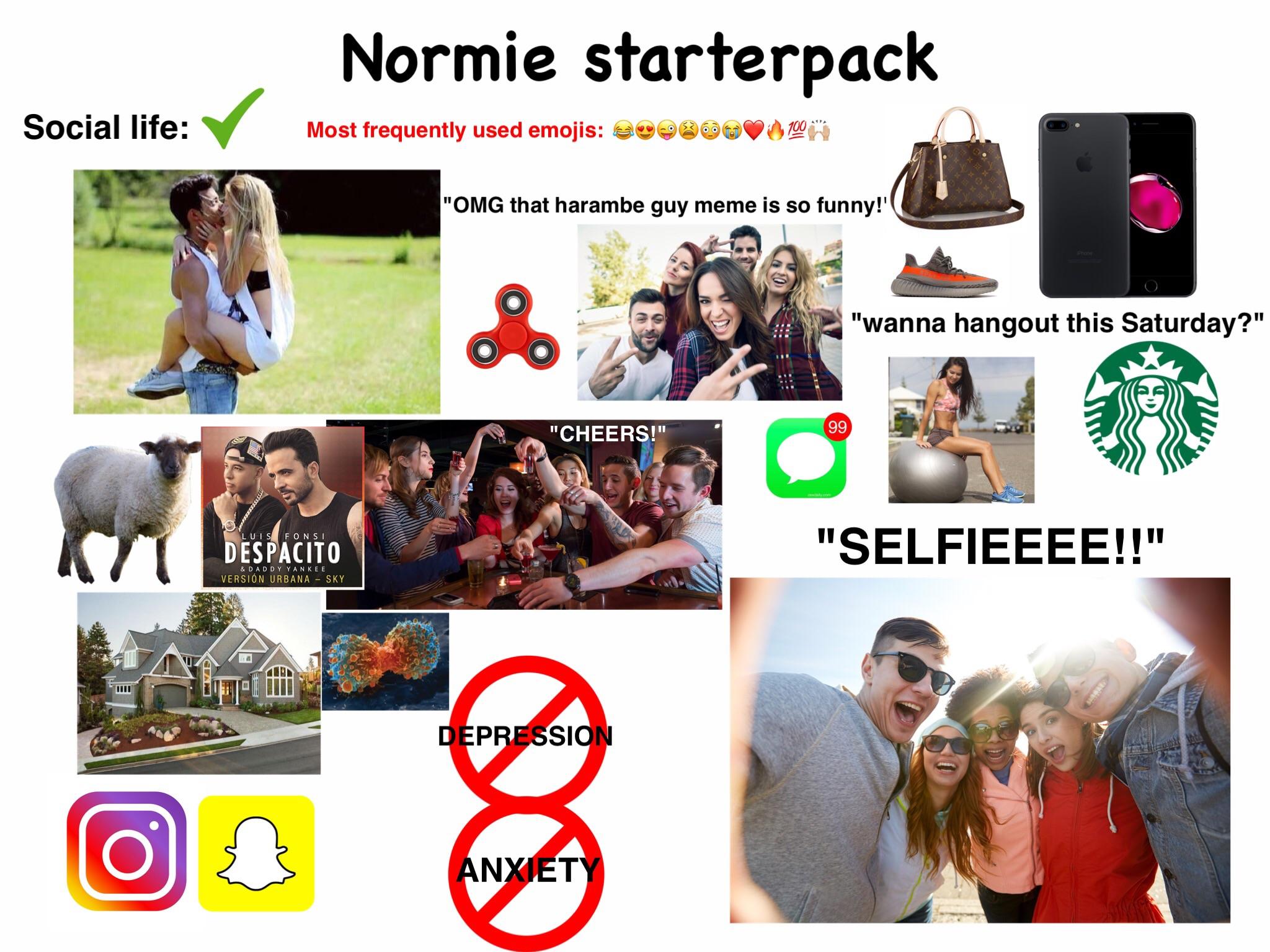 Who The Hell Are Normies Forums