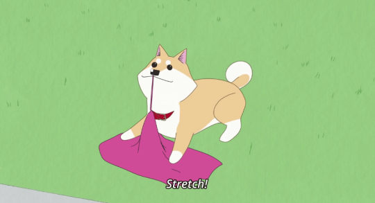 Itoshi no Muco Episode 1 Discussion - Forums - MyAnimeList.net