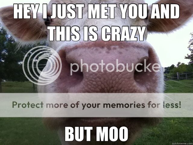 [CLOSED]Cows Limited Edition - Forums - MyAnimeList.net