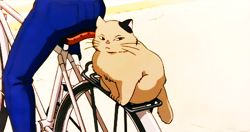 What are the cutest anime cats? - Forums - MyAnimeList.net
