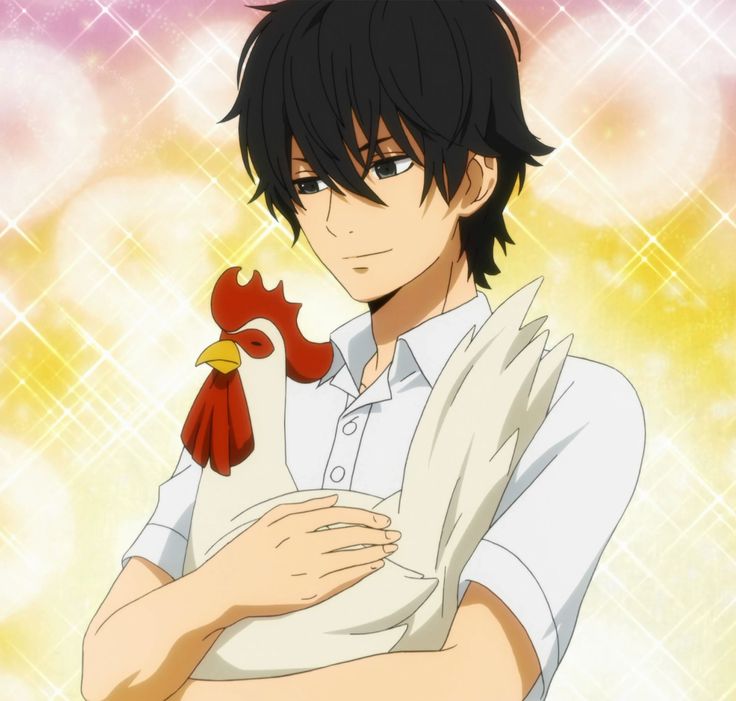 Animals you'd like to see in anime besides cats and dogs - Forums ...