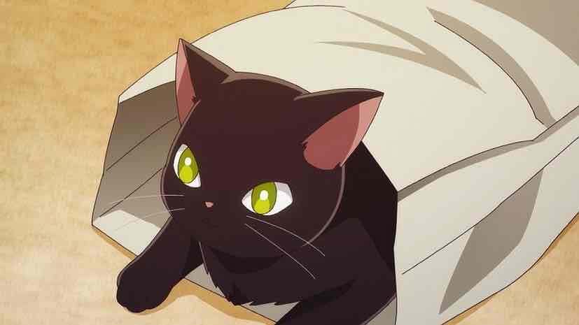 Koori Zokusei Danshi to Cool na Douryou Joshi Episode 11 Discussion ...